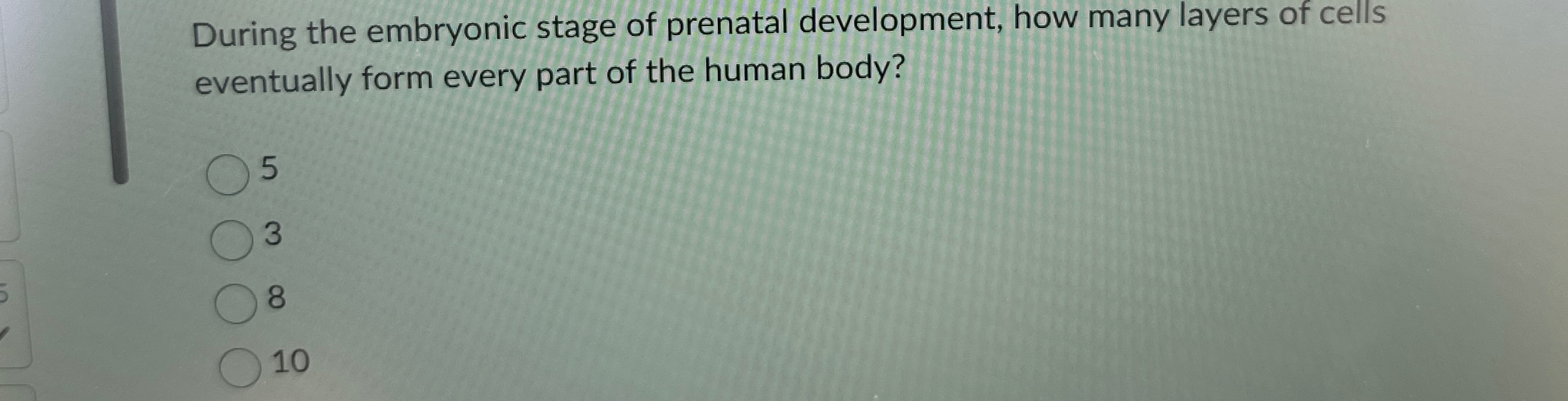 Solved During the embryonic stage of prenatal development, | Chegg.com