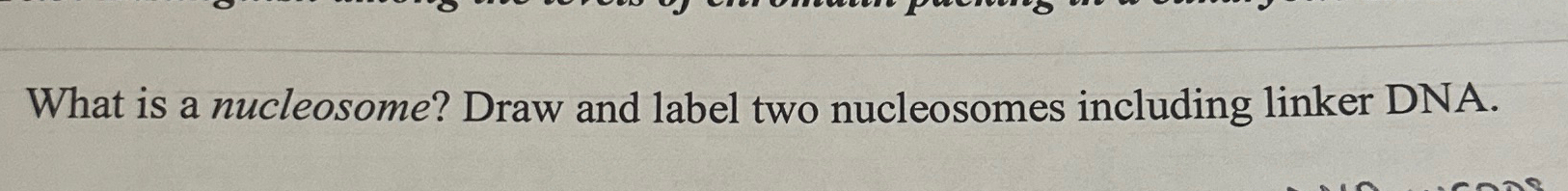 Solved What is a nucleosome? Draw and label two nucleosomes | Chegg.com