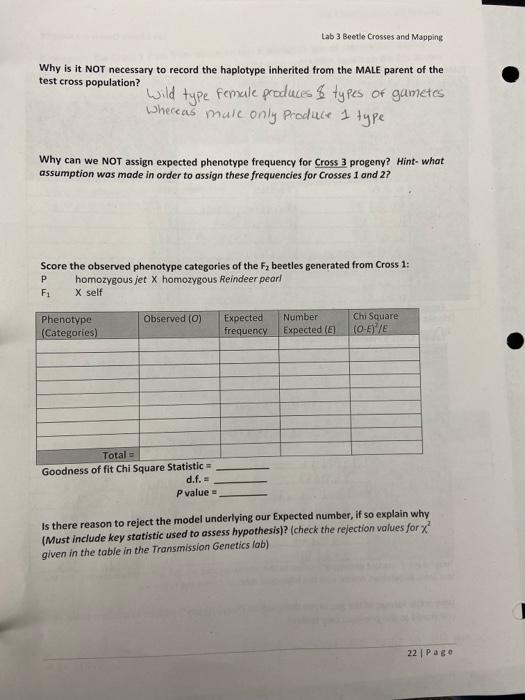 Reorganize the Cross 1 data from above to test if | Chegg.com