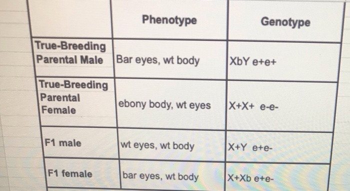 Solved Phenotype Genotype True-Breeding Parental Male Bar | Chegg.com