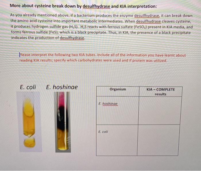 Solved please interpret the following two KIA tubes. Include | Chegg.com