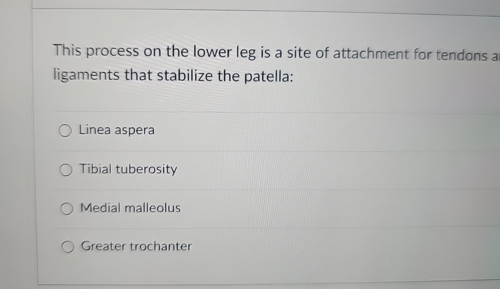 Solved This process on the lower leg is a site of attachment | Chegg.com