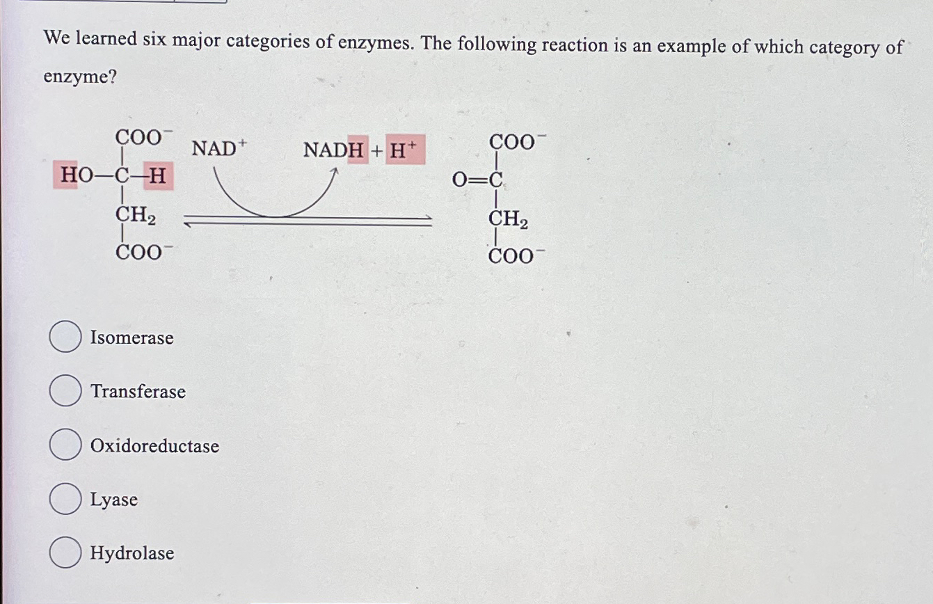 Solved We learned six major categories of enzymes. The | Chegg.com