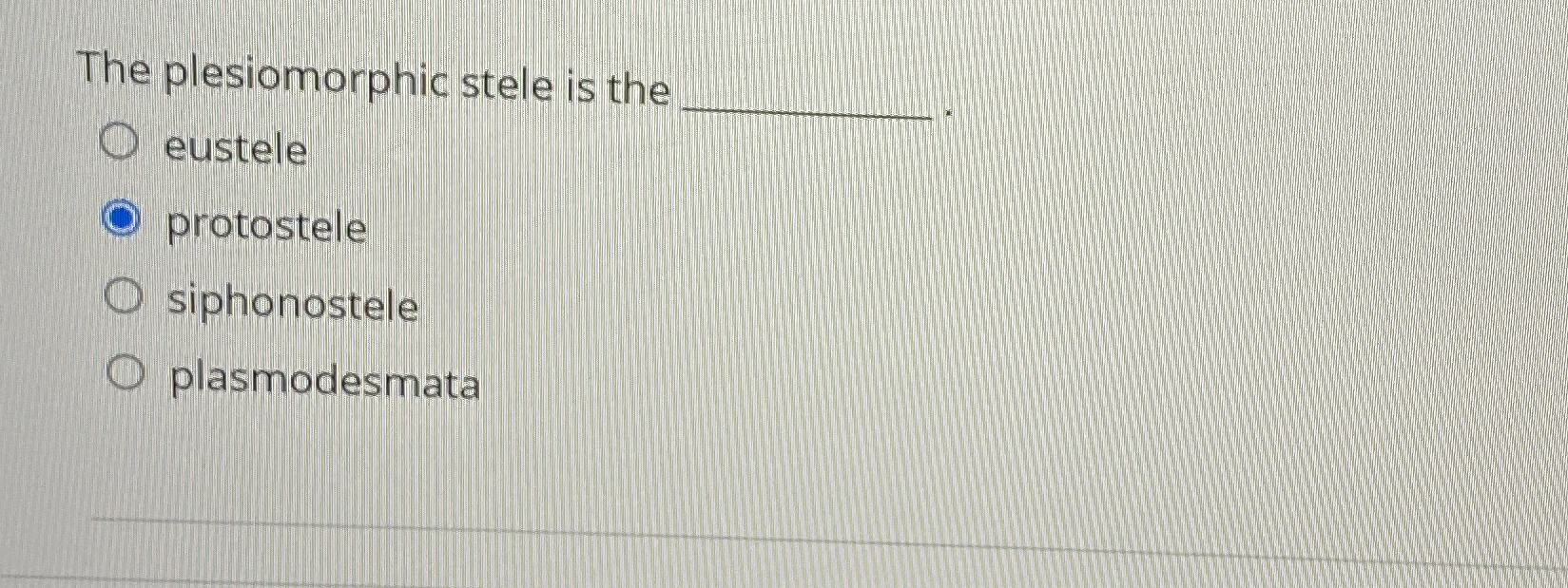 Solved The plesiomorphic stele is | Chegg.com