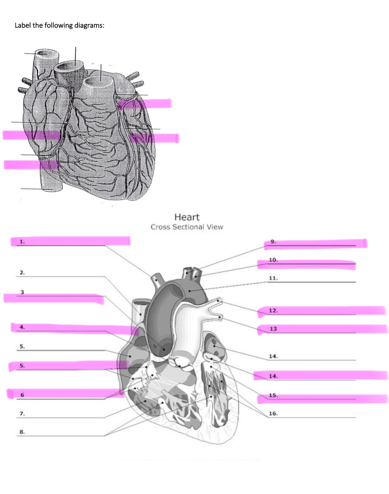 Solved Can I have help with the highlighted structures? | Chegg.com