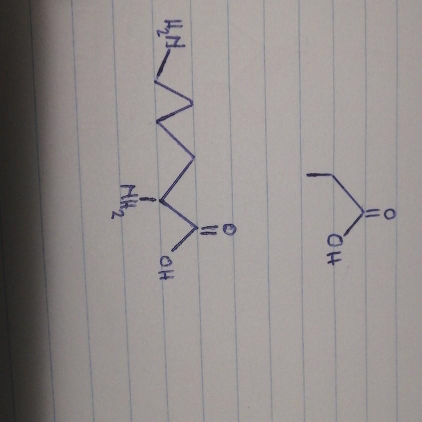 Solved Draw a dipeptide from the above and indicate the | Chegg.com
