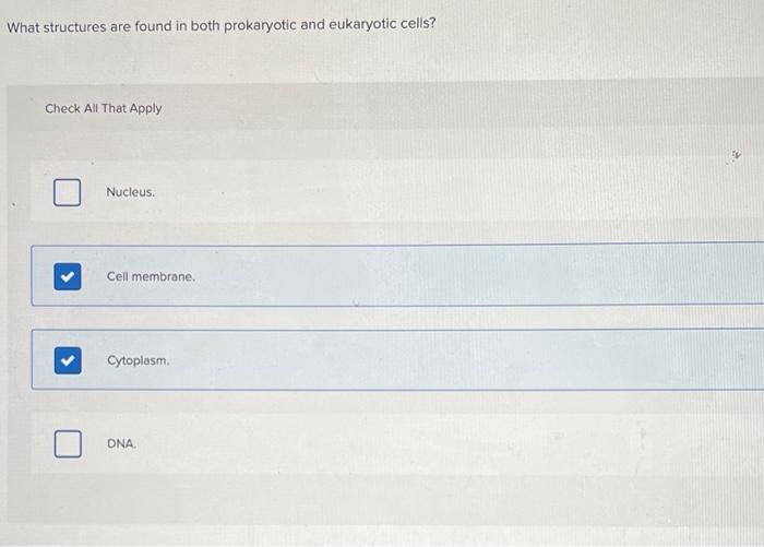 Solved What structures are found in both prokaryotic and | Chegg.com