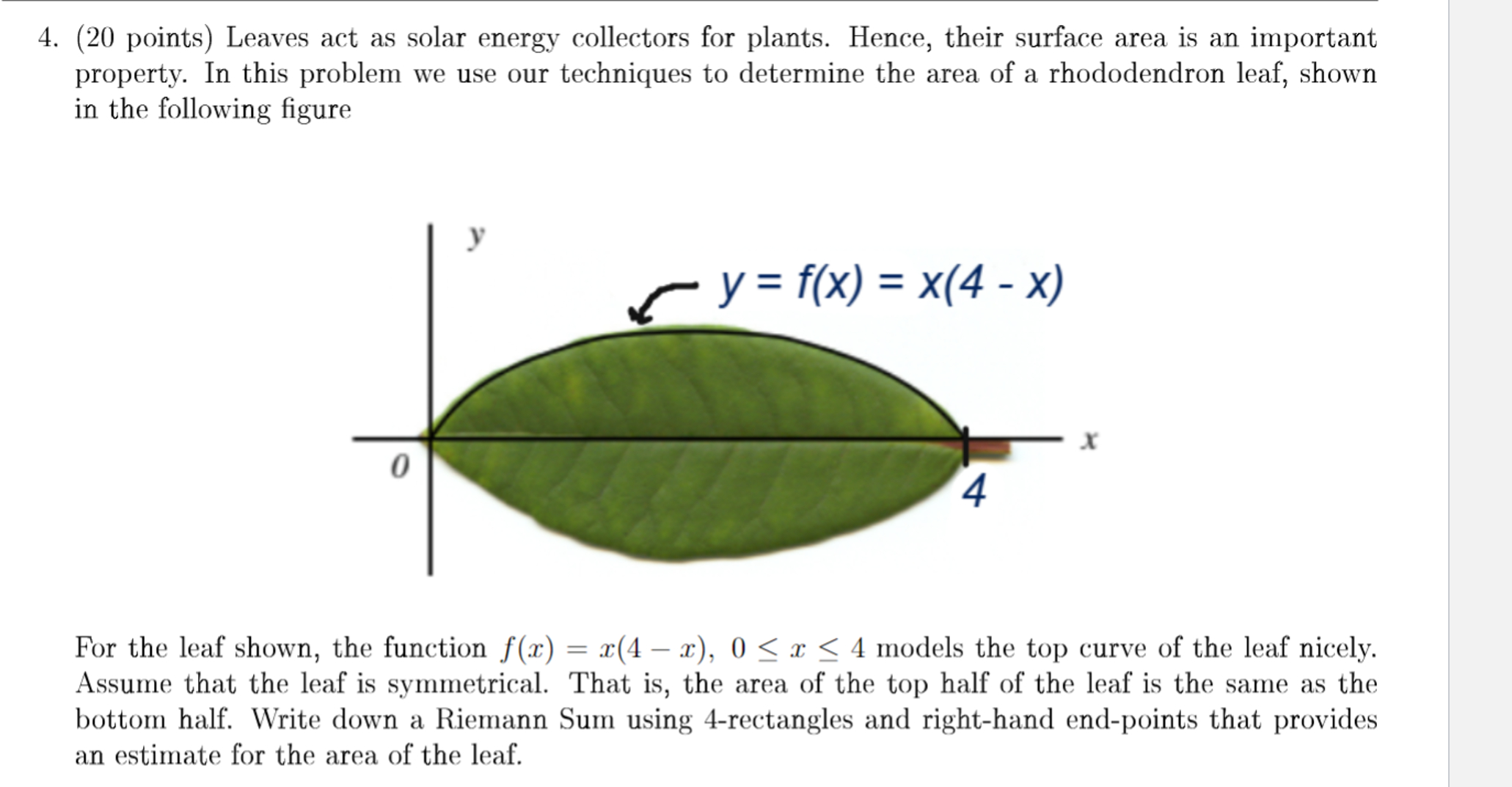 Solved (20 ﻿points) ﻿Leaves act as solar energy collectors | Chegg.com