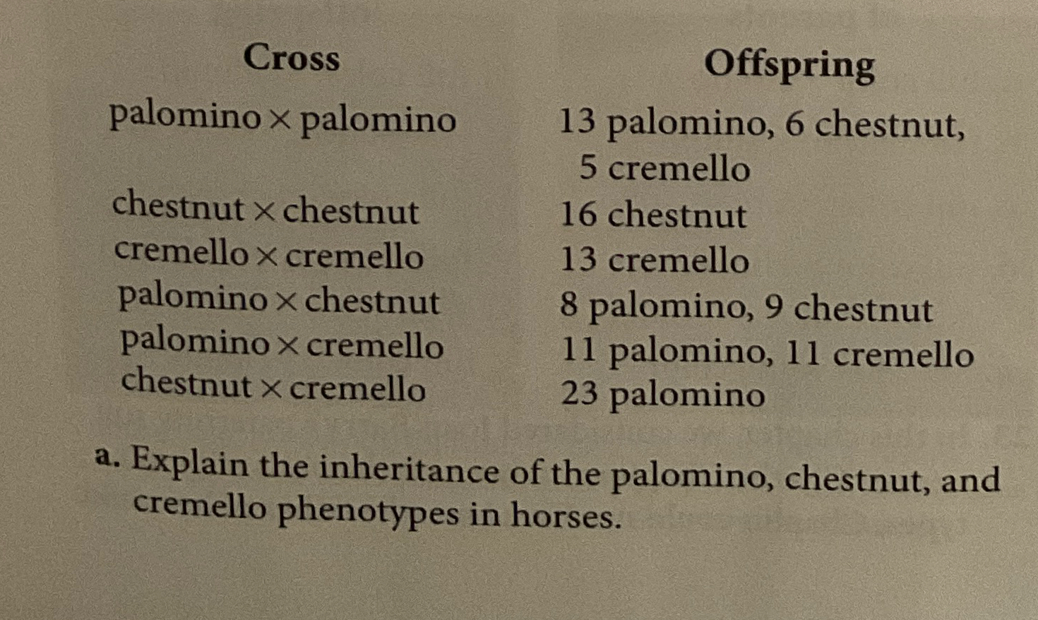Solved \table[[Cross,Offspring],[palomino × ﻿palomino,13 | Chegg.com