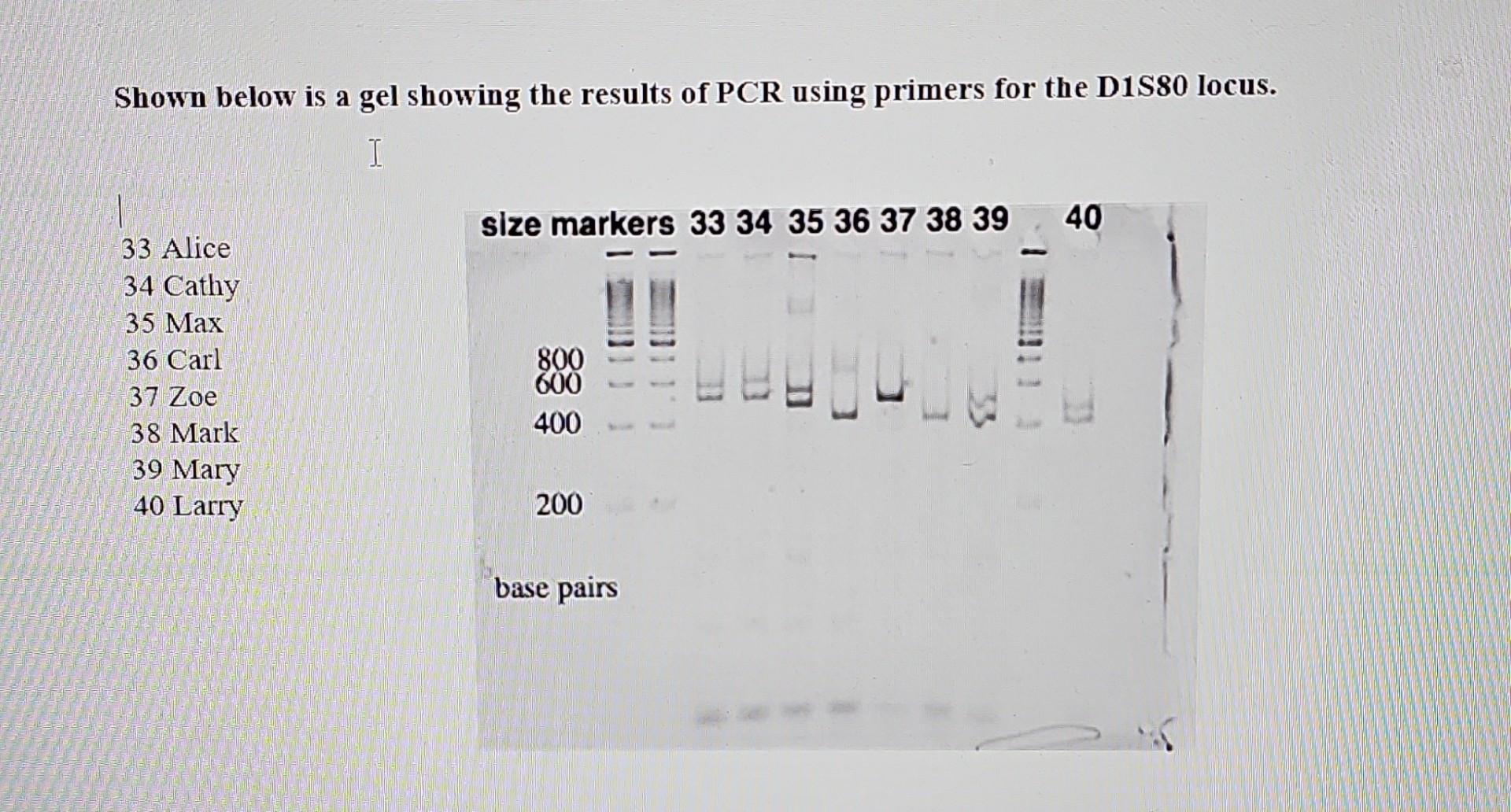 Solved Shown below is a gel showing the results of PCR using | Chegg.com