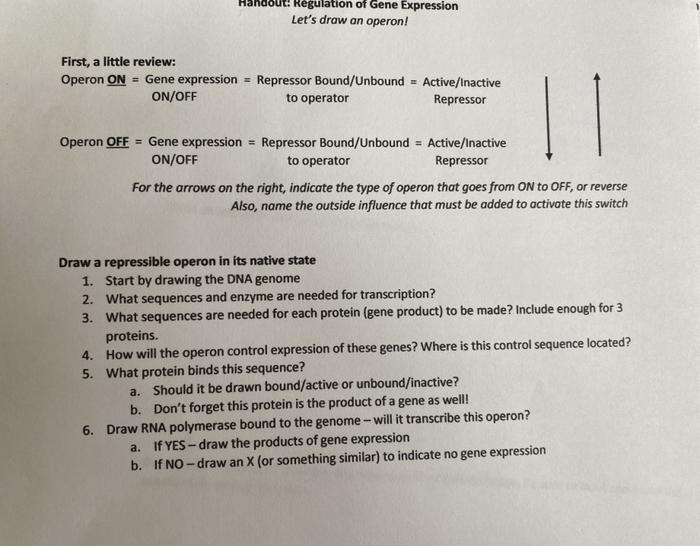 Solved Regulation of Gene Expression Let's draw an operon! | Chegg.com