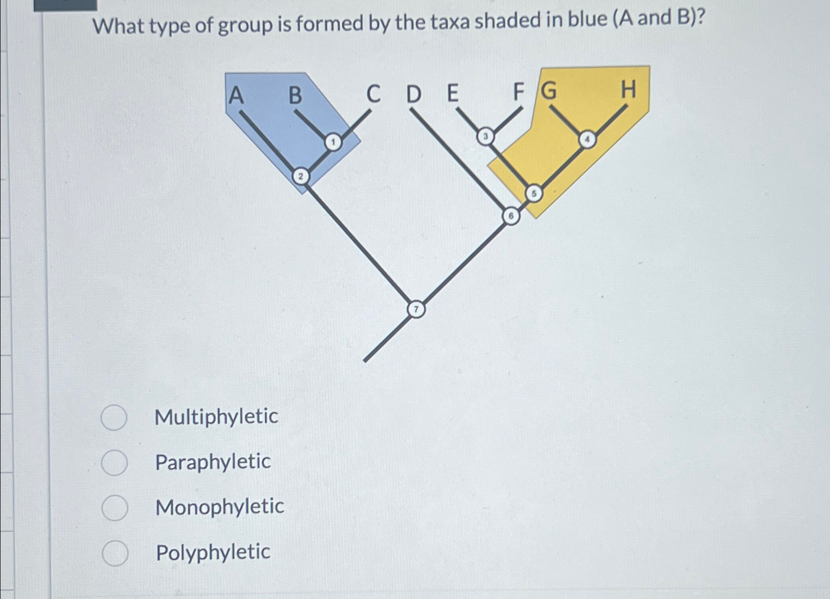 Solved What type of group is formed by the taxa shaded in | Chegg.com