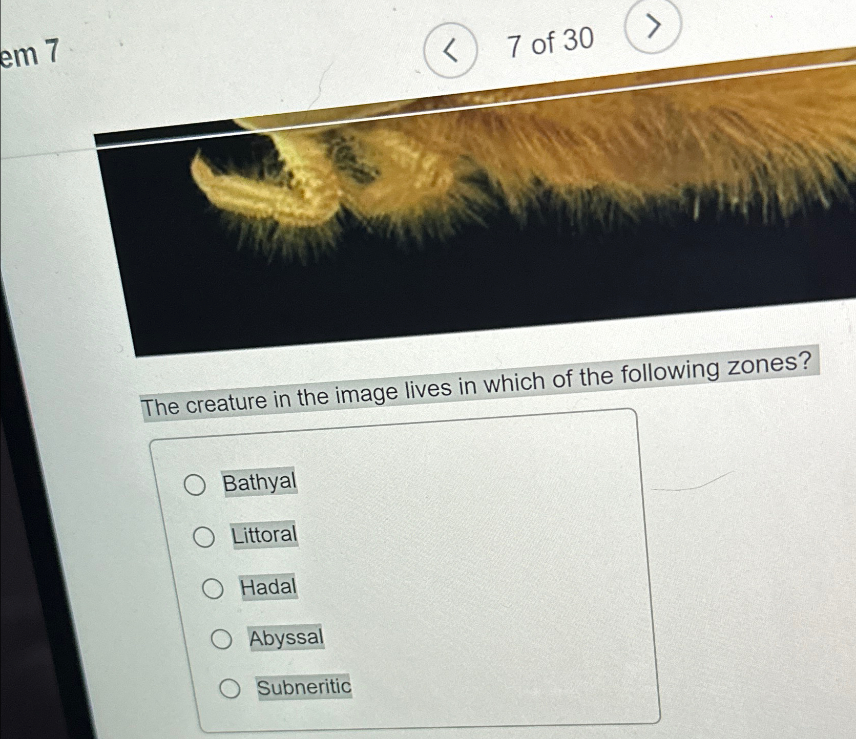 Solved 7 ﻿of 30em 71 ﻿of 30The creature in the image lives | Chegg.com