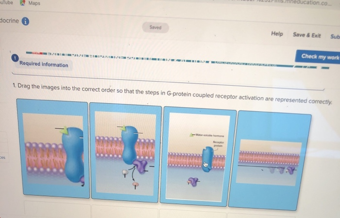 Solved uTube Maps neducation.co. docrine Saved Help Save & | Chegg.com