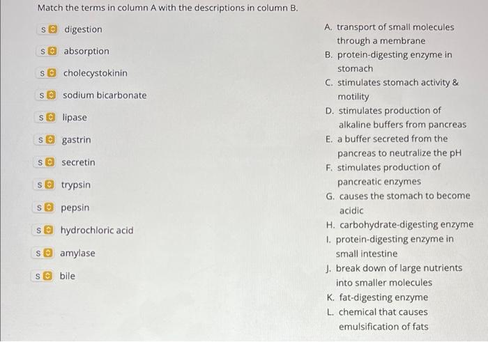 Solved Match the terms in column A with the descriptions in | Chegg.com