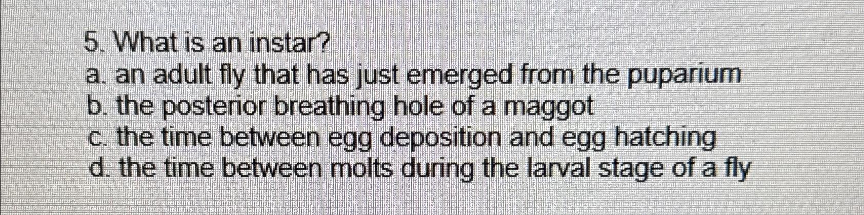 Solved What is an instar?a. ﻿an adult fly that has just | Chegg.com