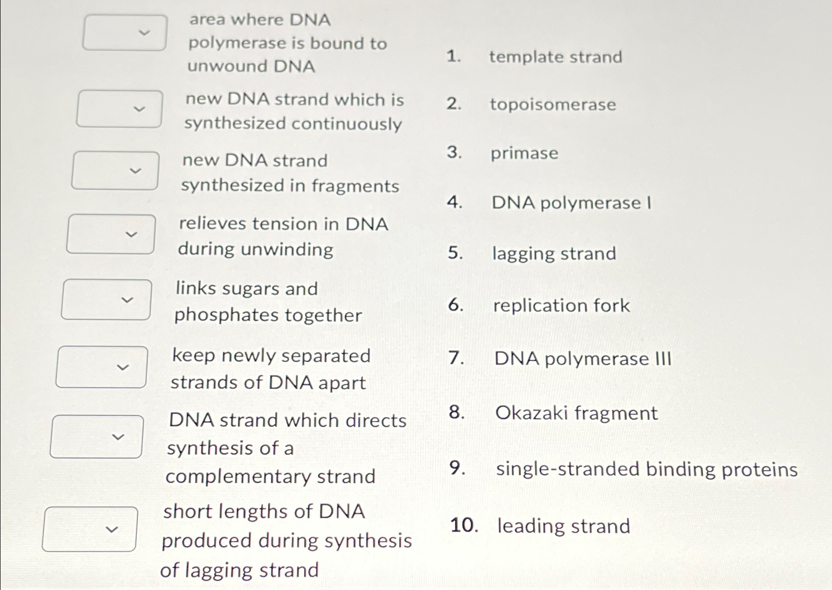Solved area where DNA polymerase is bound to unwound DNAnew | Chegg.com