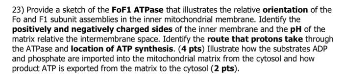 Solved 23) Provide a sketch of the FoF1 ATPase that | Chegg.com