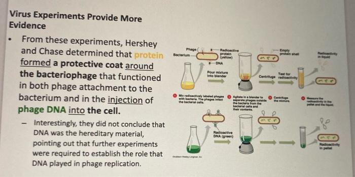 Solved 7. Hershey and Chase Experiment: A) Top of tube | Chegg.com