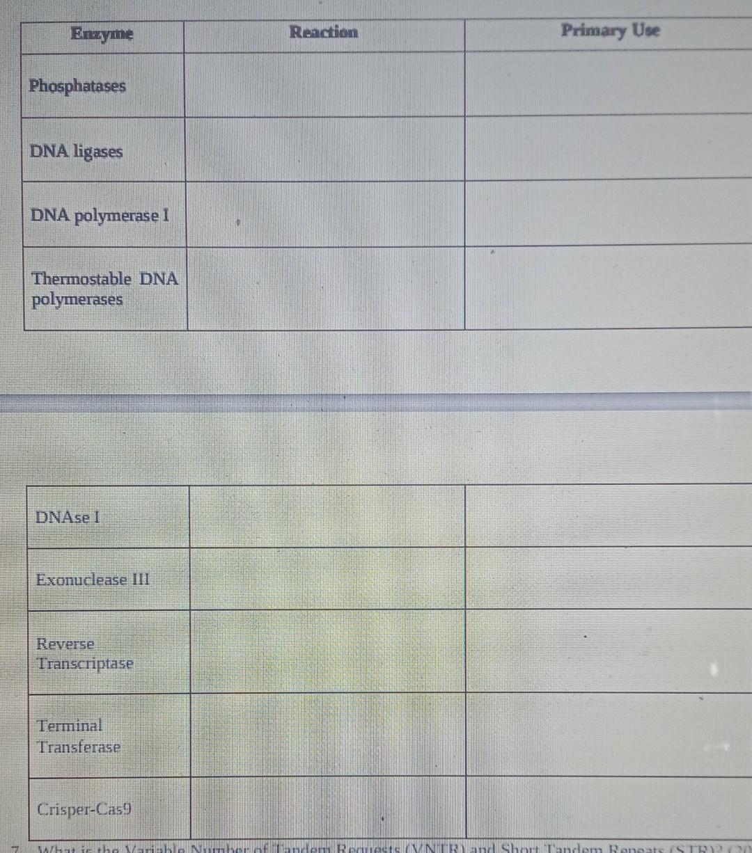 Solved Enzyme Phosphatases DNA ligases DNA polymerase I | Chegg.com