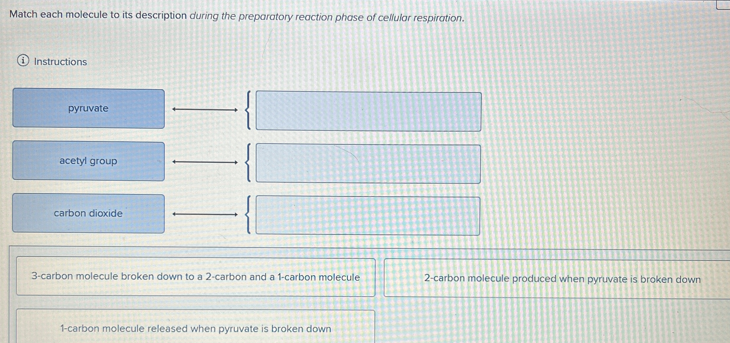Solved Match each molecule to its description during the | Chegg.com