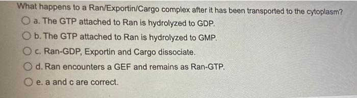 Solved What happens to a Ran/Exportin/Cargo complex after it | Chegg.com