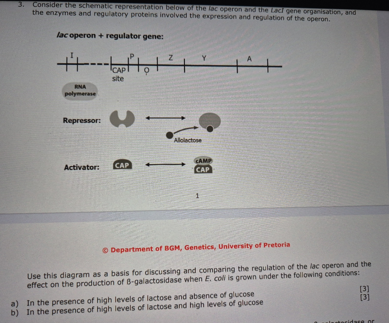 Solved Consider the schematic representation below of the | Chegg.com