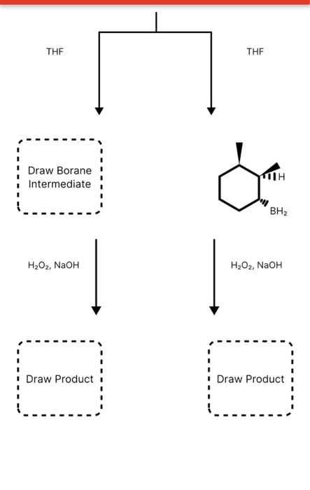 Solved Draw the structures of the missing reactants, | Chegg.com