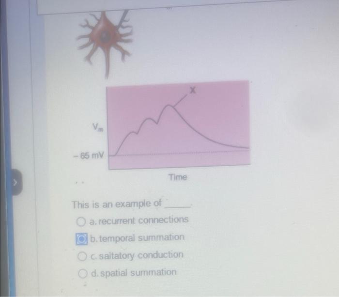 Solved This Is An Example Of A Recurrent Connections B