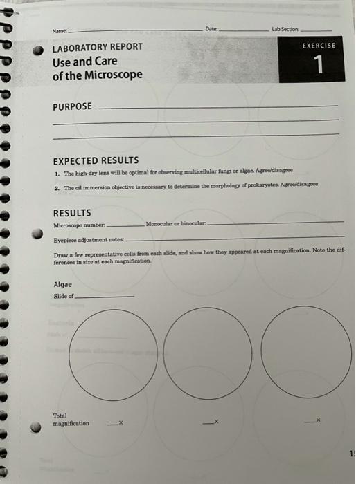 Name: Date: Lab Section EXERCISE LABORATORY REPORT | Chegg.com