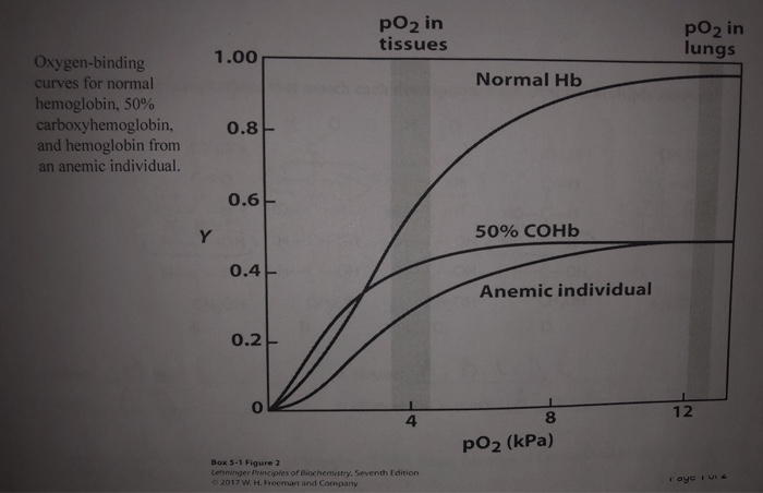Solved pO2 in tissues pO2 in lungs 1.00 Normal Hb | Chegg.com