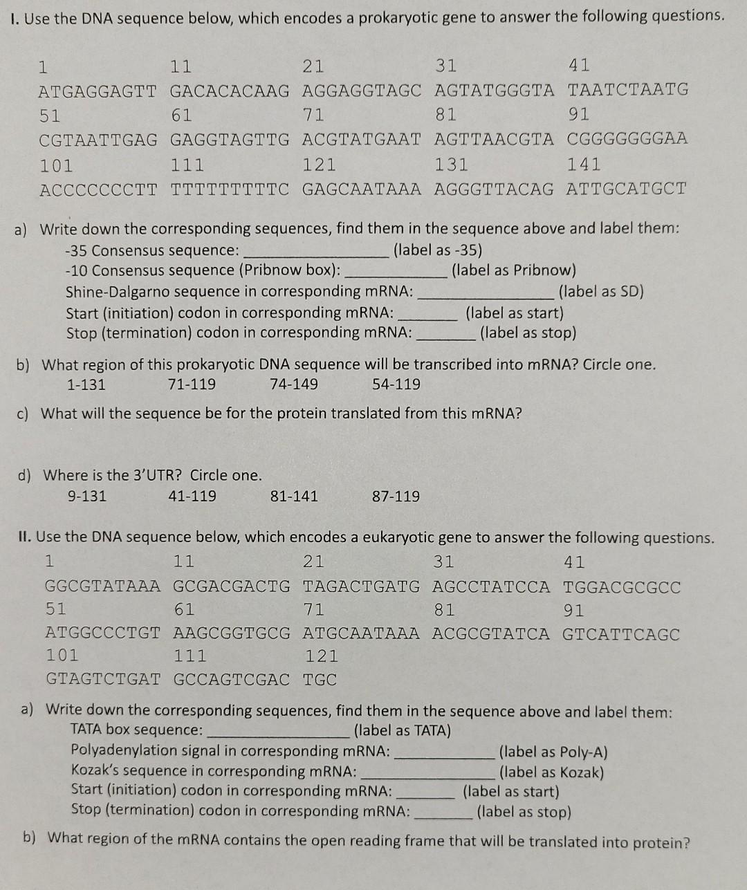 Solved I. Use the DNA sequence below, which encodes a | Chegg.com