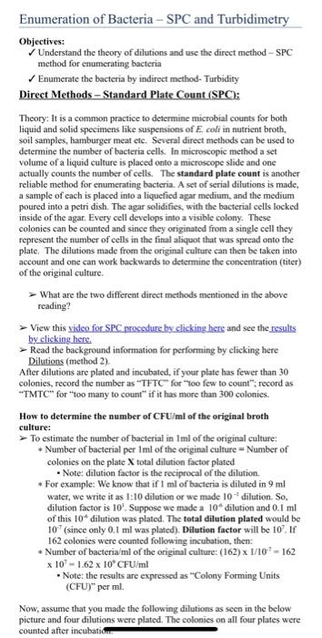Enumeration of Bacteria - SPC and Turbidimetry | Chegg.com