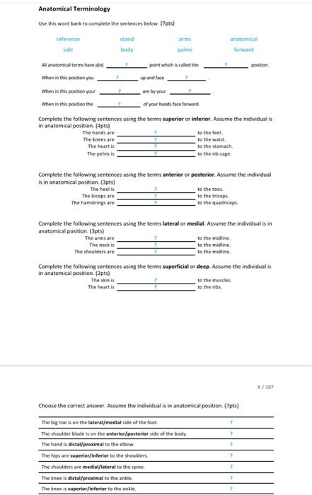 Solved Anatomical Terminology Use this word bank to complete | Chegg.com