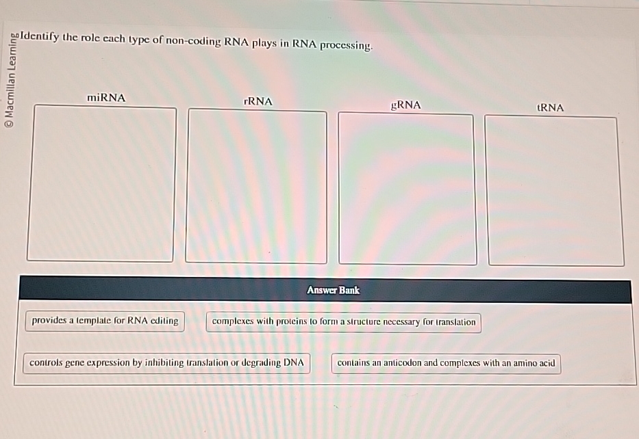 Solved ondentify the role each type of non-coding RNA plays | Chegg.com
