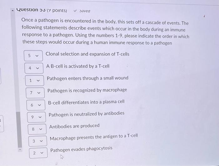 Solved Once a pathogen is encountered in the body, this sets | Chegg.com