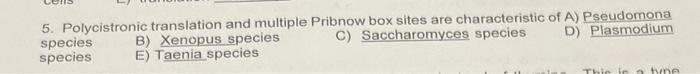 Solved 5. Polycistronic translation and multiple Pribnow box | Chegg.com