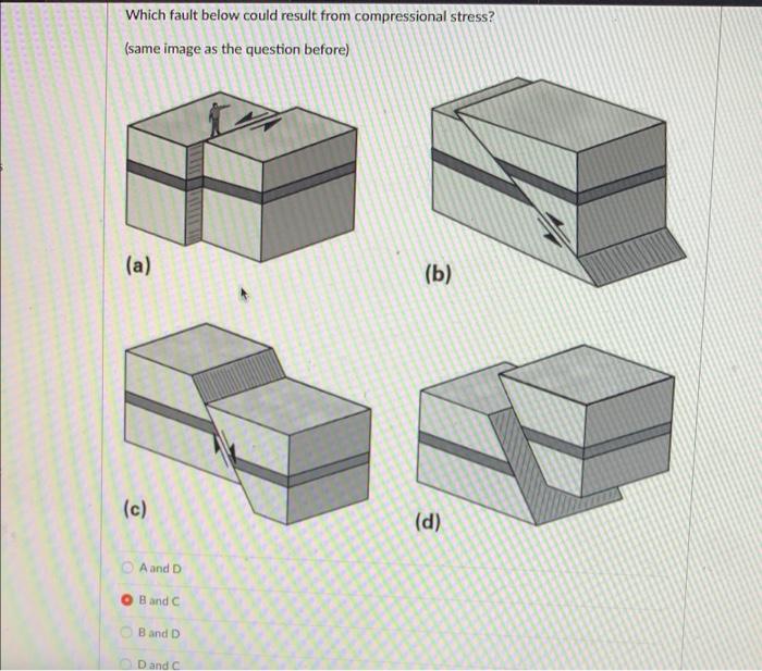 Solved Which fault below could result from compressional | Chegg.com