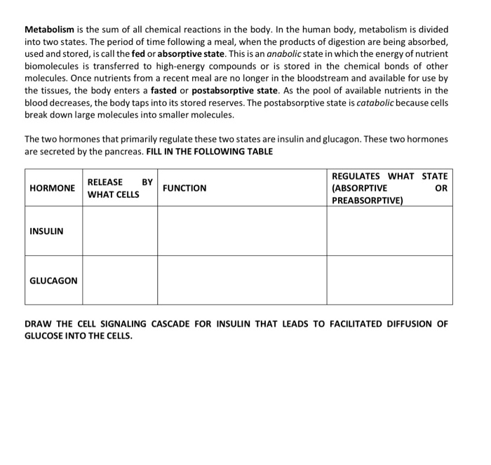 Solved Metabolism is the sum of all chemical reactions in | Chegg.com