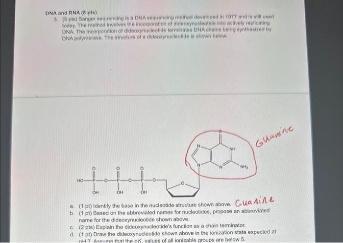 Solved DNA and RNA ( 8 pts) 3. (5 pts) Sanger sequencing is | Chegg.com
