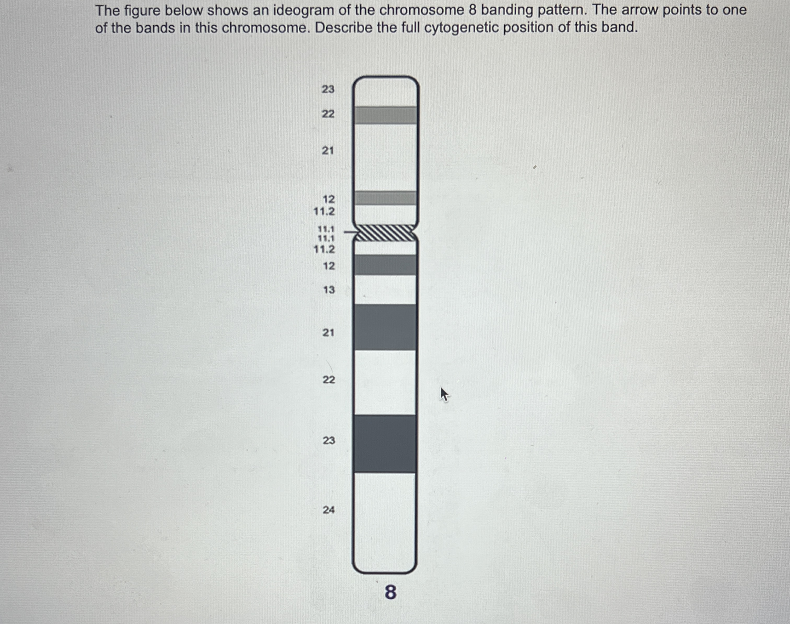 Solved The figure below shows an ideogram of the chromosome | Chegg.com