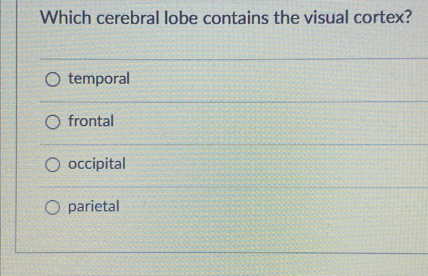 Solved Which cerebral lobe contains the visual | Chegg.com