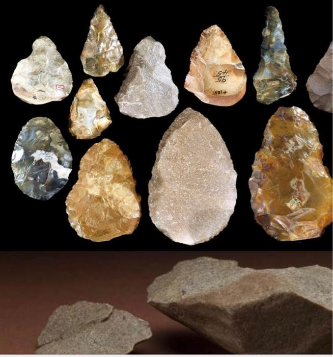 Solved Click on the Acheulean Tools Which is the Acheulean | Chegg.com