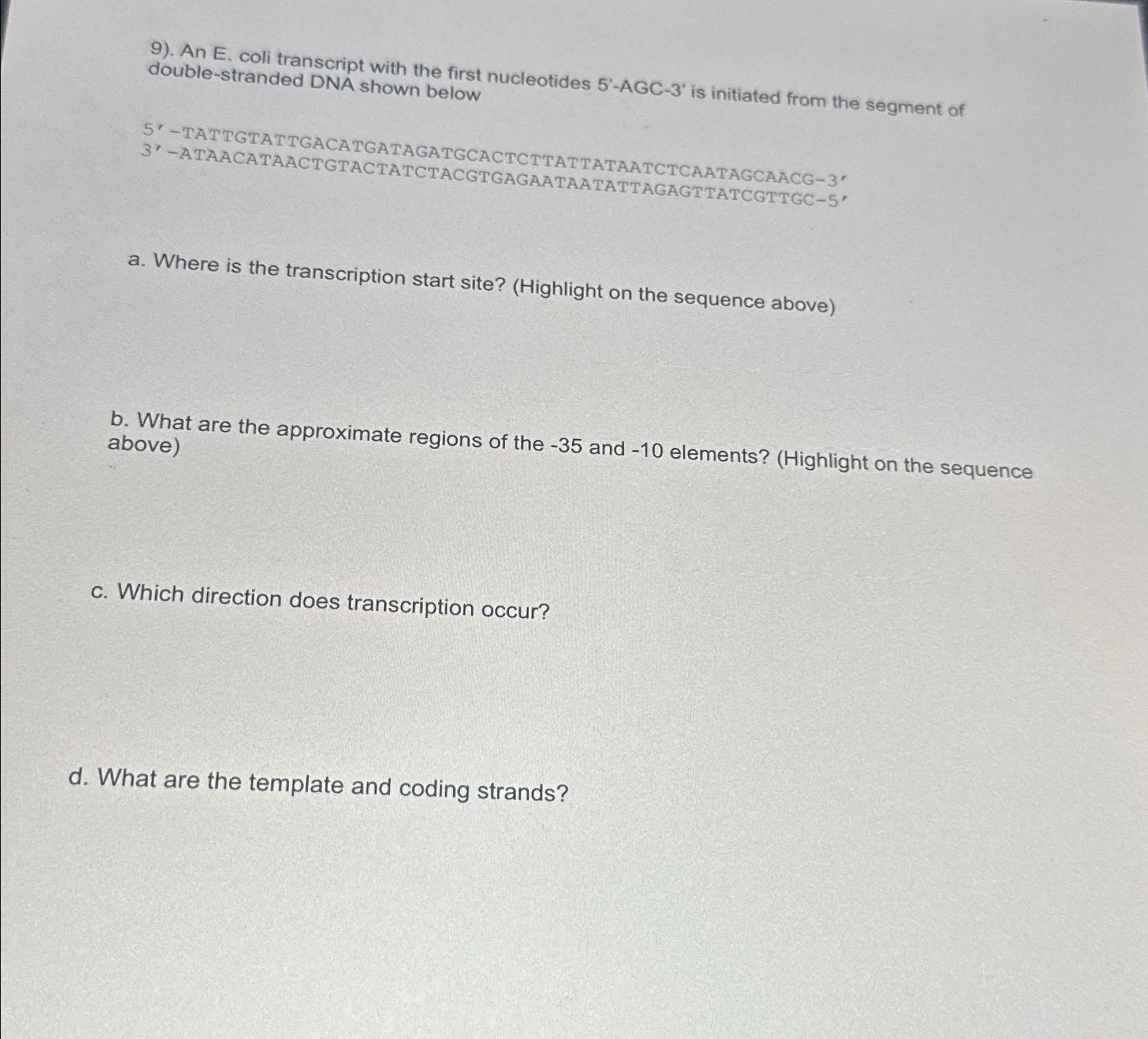 Solved . ﻿An E. ﻿coli transcript with the first nucleotides | Chegg.com