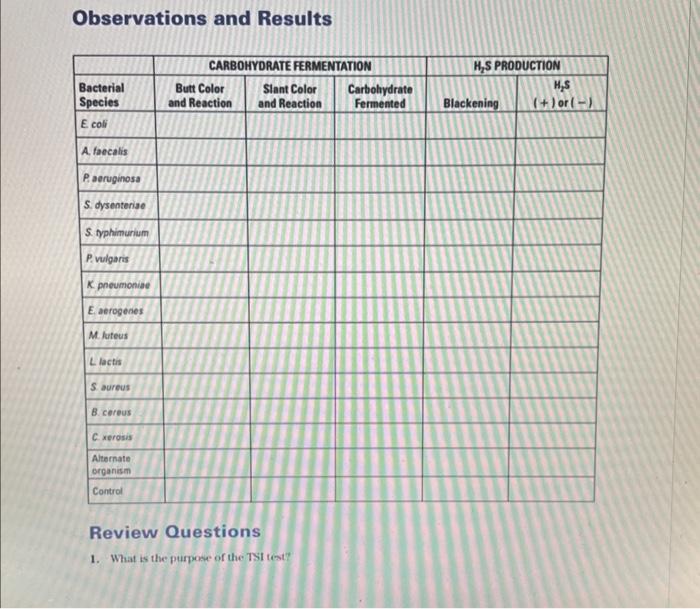 Observations and Results Review Questions 1. What is | Chegg.com