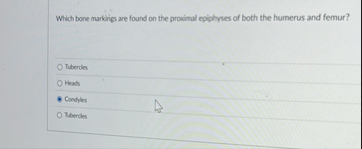 Solved Which bone markings are found on the proximal | Chegg.com