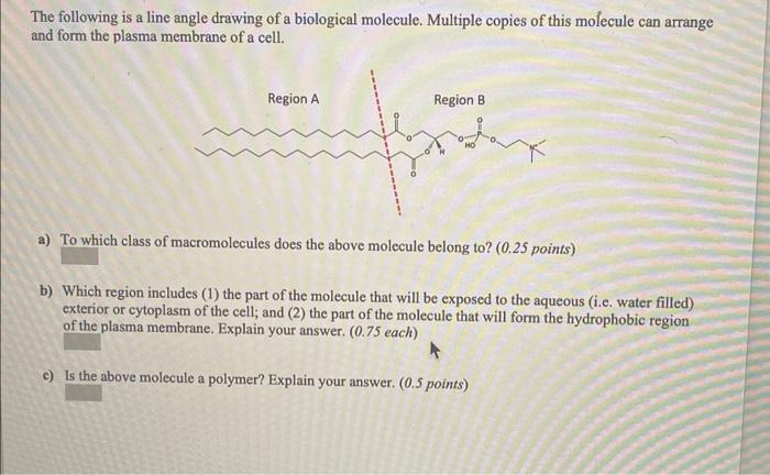 Solved The following is a line angle drawing of a biological | Chegg.com