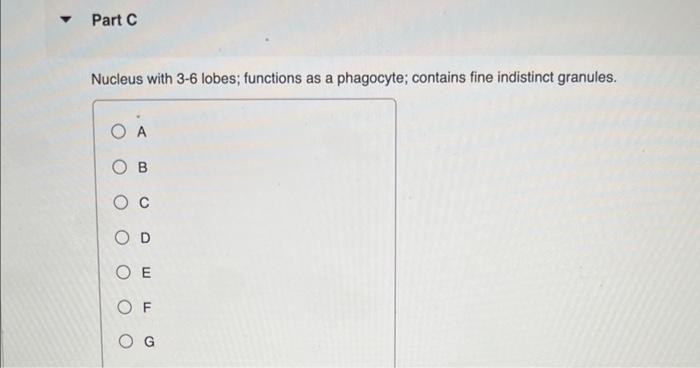 Solved Chapter 17 - Matching tem 3 A. Thromboctye B. | Chegg.com