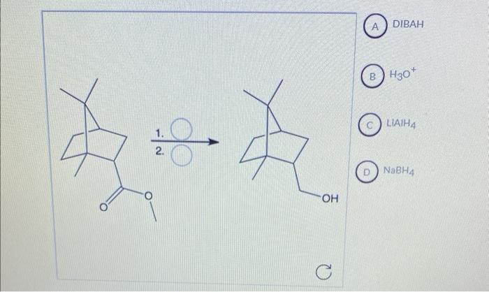 Solved NaBH4 | Chegg.com