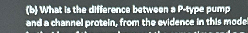 Solved (b) ﻿What is the difference between a P-type pump and | Chegg.com
